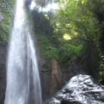 Bogor City Full-Day Private Tour from Jakarta with Pick Up - The Itinerary in Detail