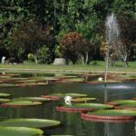 Bogor City Tour Nature waterfall with Local Food ( Start From Jakarta ) - Who Will Love This Tour?