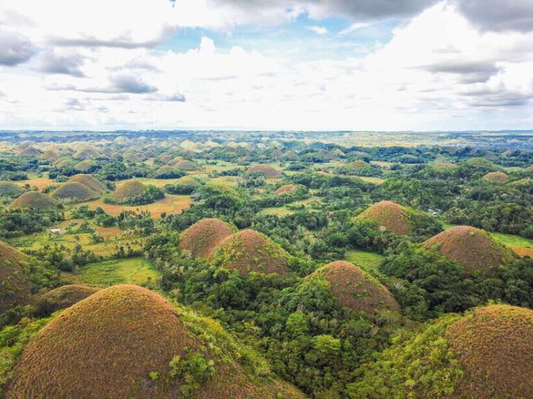 Bohol: Chocolate Hills and Countryside Tour - The Chocolate Hills