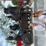 Bohol Countryside Journeys - Who Should Consider This Tour?