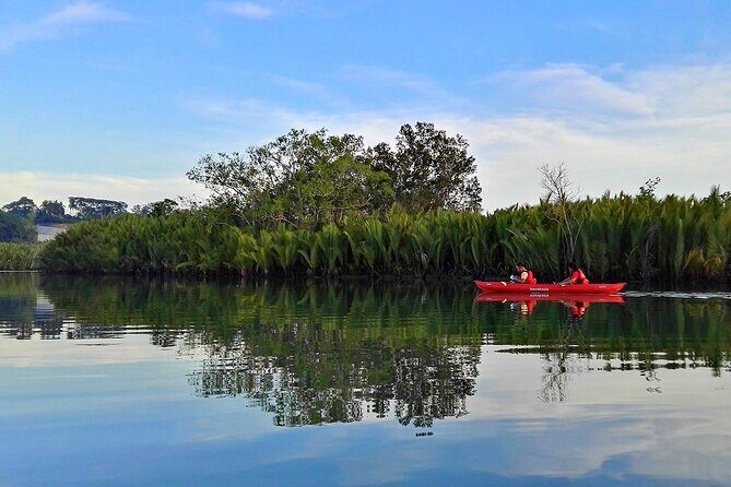 Bohol: Firefly Watching Cruise or Kayaking - Who Should Consider This Tour?