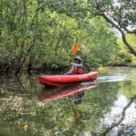 Bohol: SUSTAINABLE Mangrove Tunnels & Firefly Kayaking trail - The Sum Up
