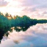 Bongawan Wetland: Proboscis Monkey and Fireflies Shared Tour - What’s Included and What’s Not
