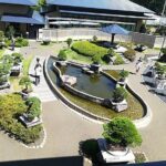 Bonsai Museum & Bonsai Experience - Who Should Consider This Tour?