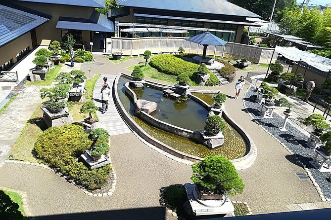 Bonsai Museum & Bonsai Experience - Who Should Consider This Tour?