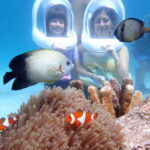 Boracay: Aquanaut Helmet Diving Experience - What Is the Boracay Aquanaut Helmet Diving Experience?