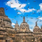 Borobudur Climb Up and Selogriyo Temple Rice Terraces Trekking - Transportation and Logistics