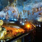 Botacnic Garden, Paradise Cave & Phong Nha Cave Tour - Visiting the Botanical Garden: A Breath of Fresh Air