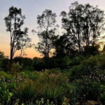 Botanic Gardens & Tiong Bahru Walking Tour with Breakfast - What to Expect and Practicalities