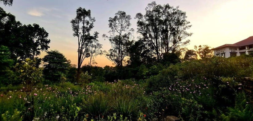 Botanic Gardens & Tiong Bahru Walking Tour with Breakfast - What to Expect and Practicalities