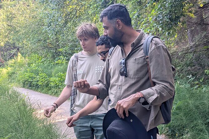 Botany of Witchcraft - Why This Tour Offers Value