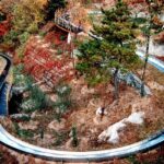 Boutique Tour: Tiananmen, Forbidden City, Mutianyu with VIP Pass - Logistics and Practicalities