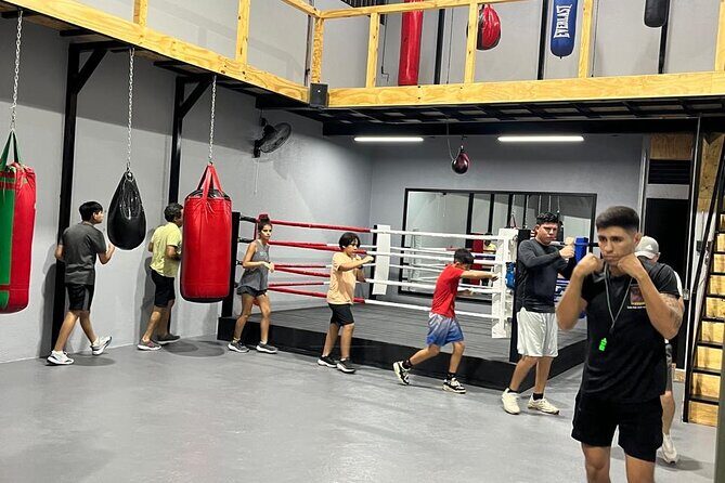 Boxing Puerto Vallarta Experience a day in the ring - The Sum Up
