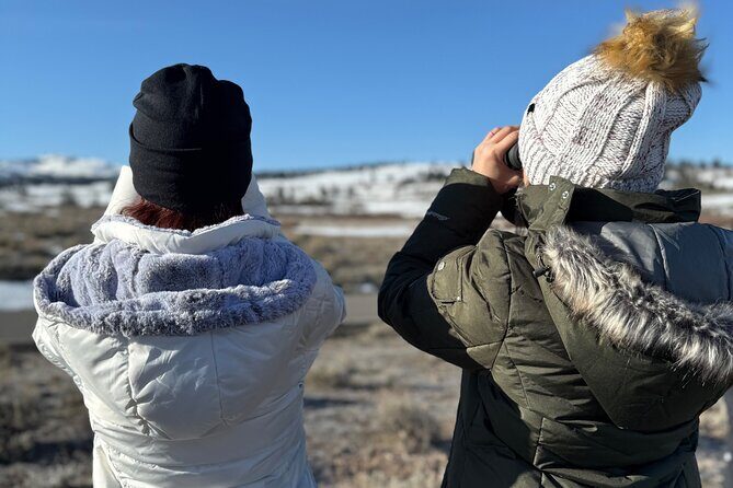 Bozeman Winter Wildlife Safari, Lamar Valley, Burrito and Lunch - What’s Included and What to Expect