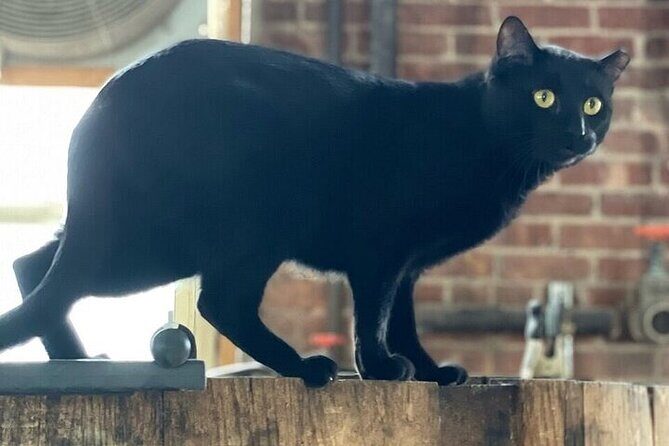 Brooklyn Distillery Tour - What You Can Expect from the Brooklyn Distillery Tour