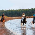Brudenell: Family-Friendly Horse Ride goes on the Beach - An In-Depth Look at the Brudenell Beach Horse Ride