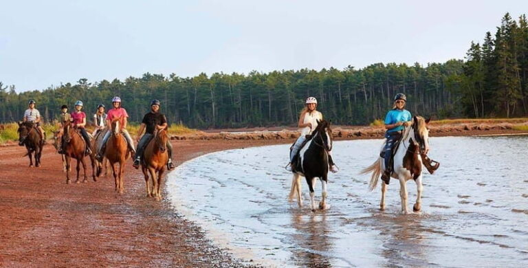 Brudenell: Family-Friendly Horse Ride goes on the Beach - An In-Depth Look at the Brudenell Beach Horse Ride