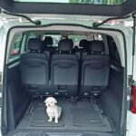 Bruns 9 seater, charter tour, business transfer, airport transfer, round-the-island charter tour - Itinerary Breakdown & Why Its Special