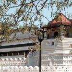 Buddhist Pilgrimage Tour (9 Days) - Practical Details & What to Expect