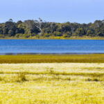 Budget Safari to Wilpaththu National Park from Anuradhapura - What Makes This Safari Stand Out