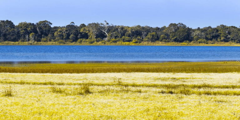 Budget Safari to Wilpaththu National Park from Anuradhapura - What Makes This Safari Stand Out