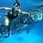 Budgeted: Bohol to Oslob Cebu Whale Shark Experience - What Makes This Tour Stand Out