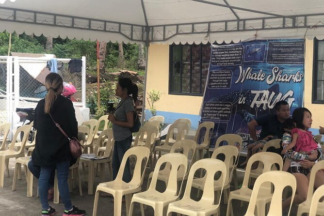 Budgeted Bohol Whale Shark - What the Tour Includes