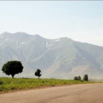 Bukhara-Shakhrisabz-Samarkand One Day Trip - Practicalities and Tips for Travelers