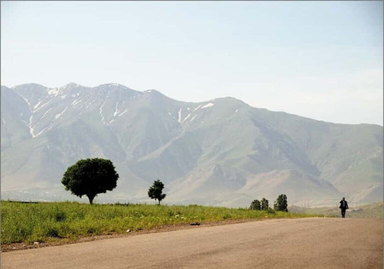 Bukhara-Shakhrisabz-Samarkand One Day Trip - Practicalities and Tips for Travelers