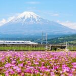 Bullet Train and Mt. Fuji Famous Food Tour - Authentic Flavor and Scenic Highlights