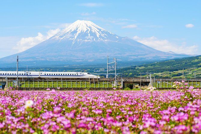 Bullet Train and Mt. Fuji Famous Food Tour - Authentic Flavor and Scenic Highlights