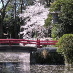 Bullet Train Experience & Mishima Shrine Private Tour from Tokyo - Mishima Station: Gateway to Tranquility and Nature