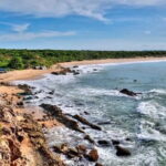 Bundala National Park by Ajith Safari - An In-Depth Look at the Safari Experience