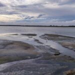 Bundala National Park Private Safari - Who is this tour best suited for?