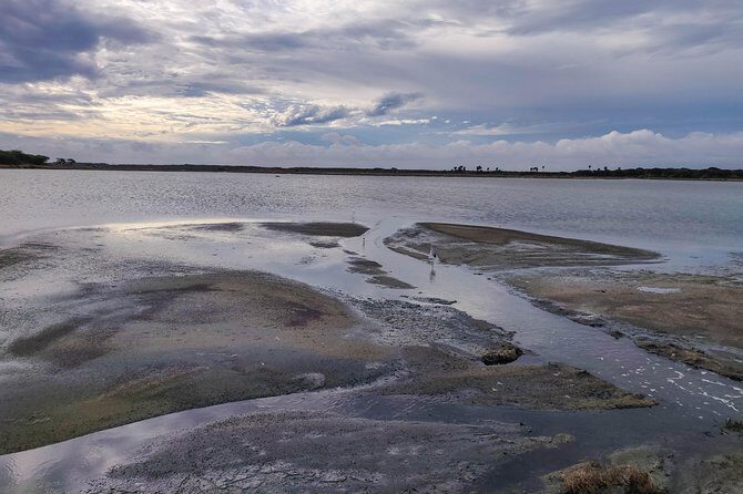 Bundala National Park Private Safari - Who is this tour best suited for?