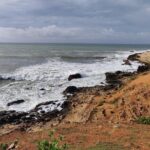 Bundala National Park Private Safari with Naturalist - Why This Safari Offers Excellent Value