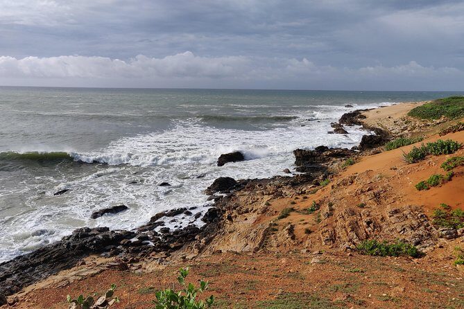 Bundala National Park Private Safari with Naturalist - Why This Safari Offers Excellent Value