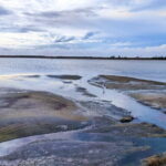 Bundala National Park Safari from Dikwella - The Fine Details: Transport, Price, and Flexibility