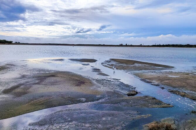 Bundala National Park Safari from Dikwella - The Fine Details: Transport, Price, and Flexibility