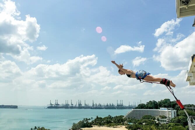 Bungy Jump - Price and Value