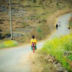 Bus from Hanoi to Ha Giang & Bus Ha Giang to Hanoi - All Inclusive - What Travelers Are Saying: Authentic Feedback