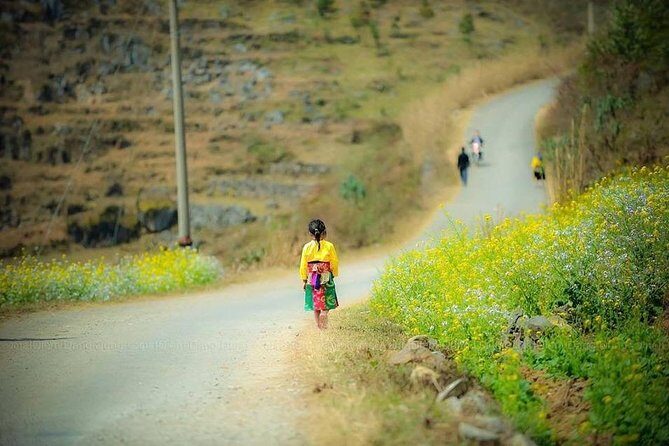 Bus from Hanoi to Ha Giang & Bus Ha Giang to Hanoi - All Inclusive - What Travelers Are Saying: Authentic Feedback