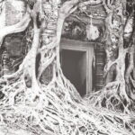 Bus or 4WD - 2 D, 1 N Siem Reap / Koh Ker / Tbeng Meachey / Loas border - What To Expect From This Tour