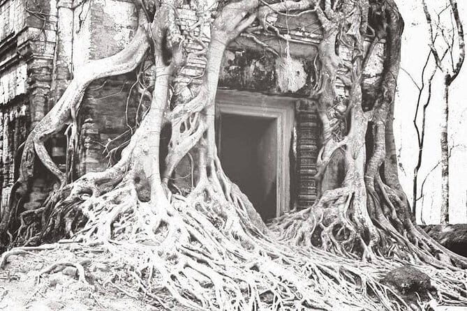 Bus or 4WD - 2 D, 1 N Siem Reap / Koh Ker / Tbeng Meachey / Loas border - What To Expect From This Tour