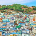 Busan 4hr Private Walking Tour with Certified Guide - Key Points