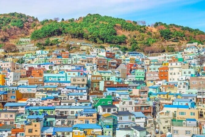 Busan 4hr Private Walking Tour with Certified Guide - Key Points