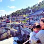 Busan Cruise Port Tour-Small Group Shore Excursion (Max 6 Guests) - Who Will Love This Tour?