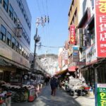 Busan day trip including Gamcheon culture village from Seoul by KTX train - What Makes This Tour Worth It?