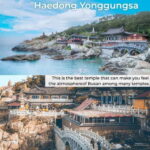 Busan: Full-Day Tour Unmissable things to do in Busan - Practical Details and Value