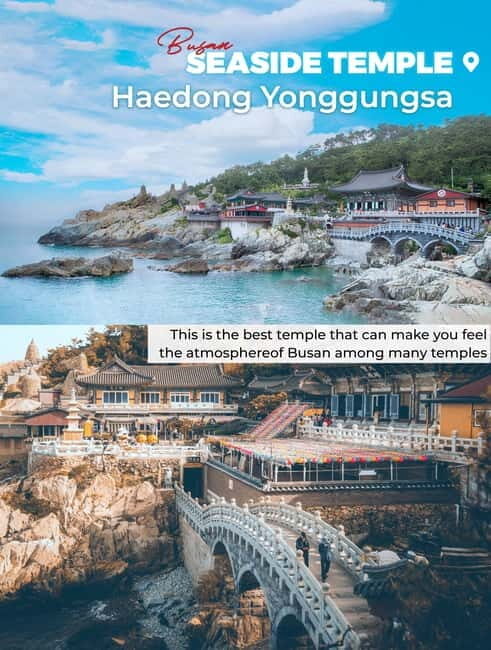 Busan: Full-Day Tour Unmissable things to do in Busan - Practical Details and Value